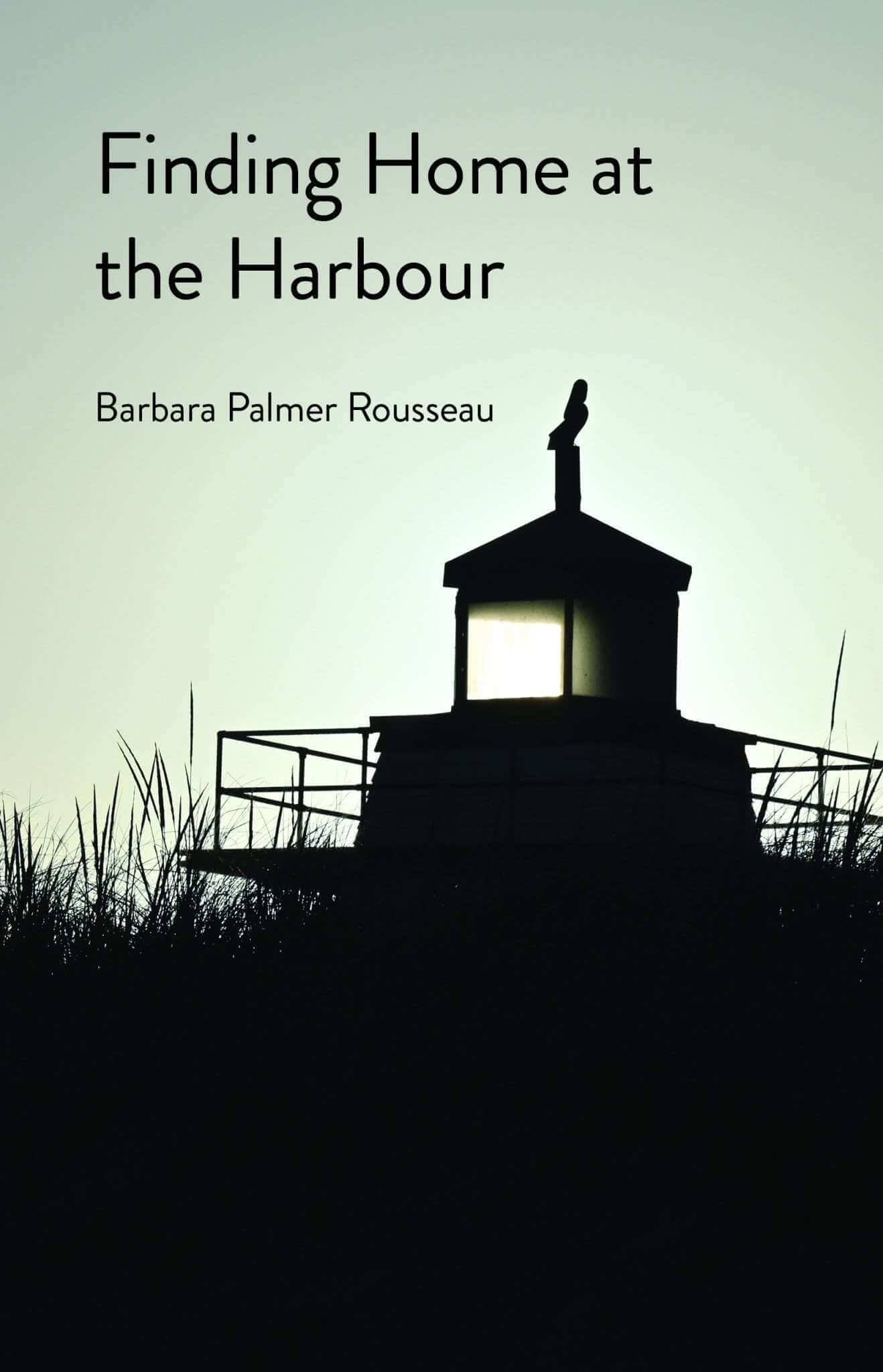 Finding Home at the Harbour - The Buzz